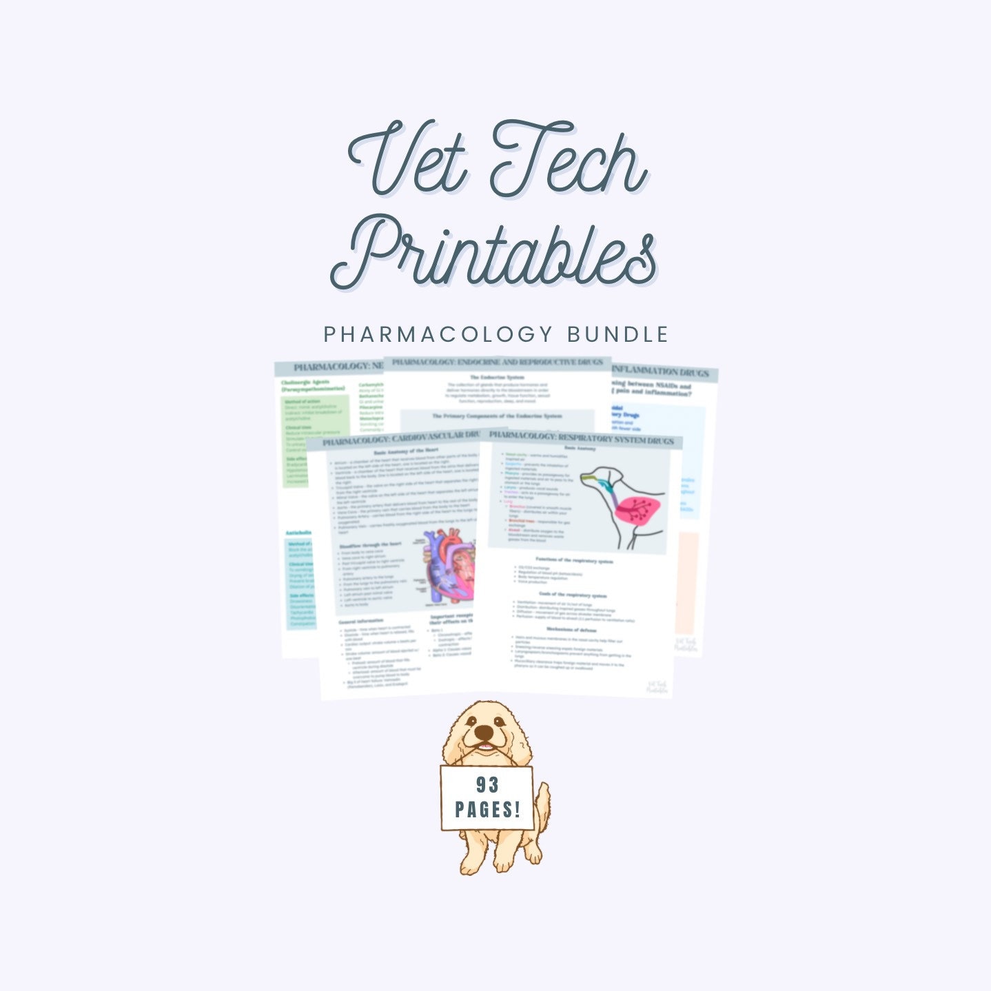 PHARMACOLOGY BUNDLE Vet Tech Study Guides Color Coded VTNE Notes - Etsy