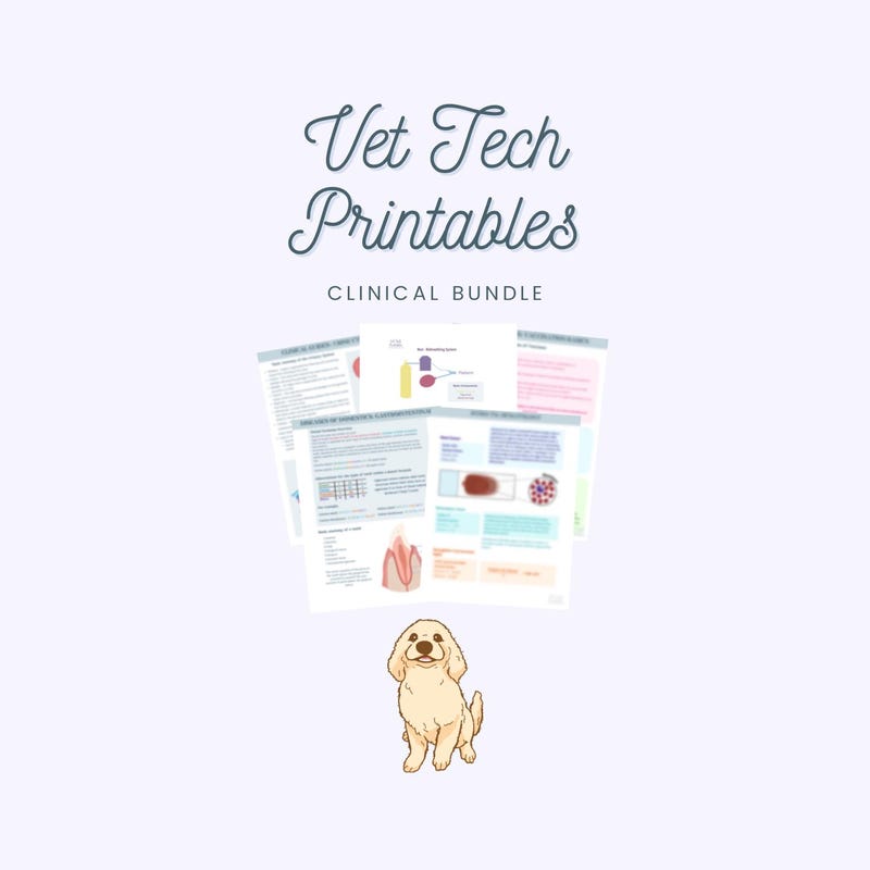 VetTechPrintables - Etsy