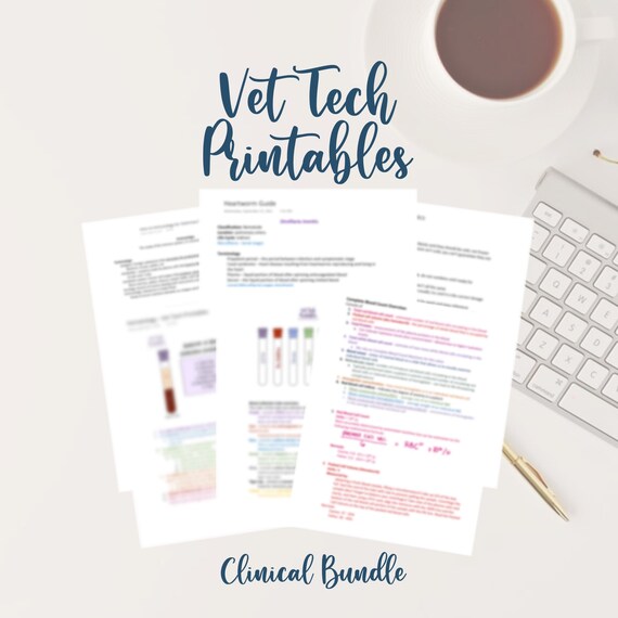 CLINICAL BUNDLE Vet Tech Study Guides Color Coded VTNE Notes - Etsy