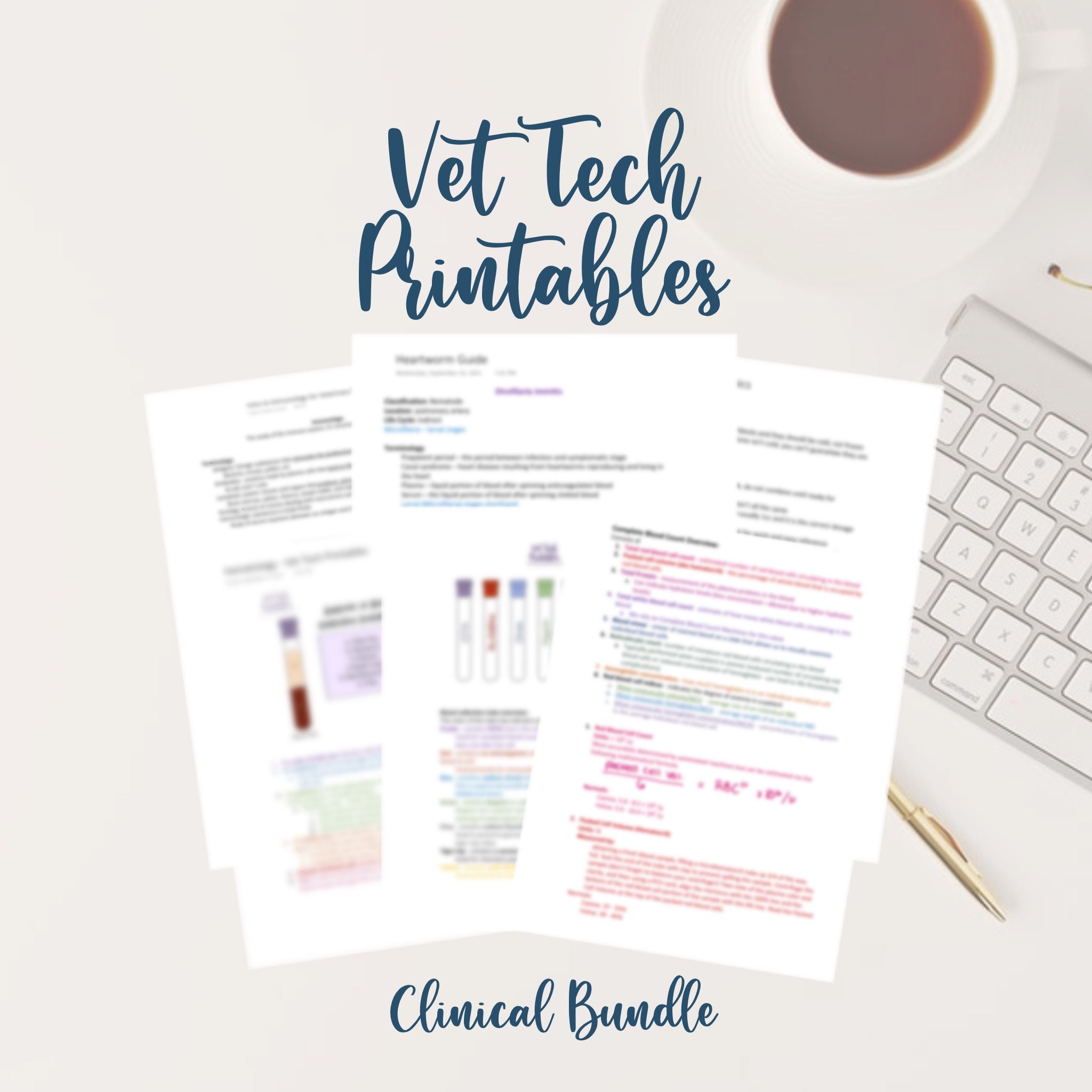 CLINICAL BUNDLE Vet Tech Study Guides Color Coded VTNE Notes - Etsy