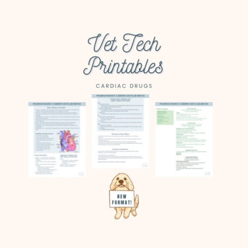 VetTechPrintables - Etsy