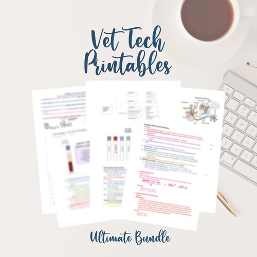 Vet Anatomy Bundle - Etsy