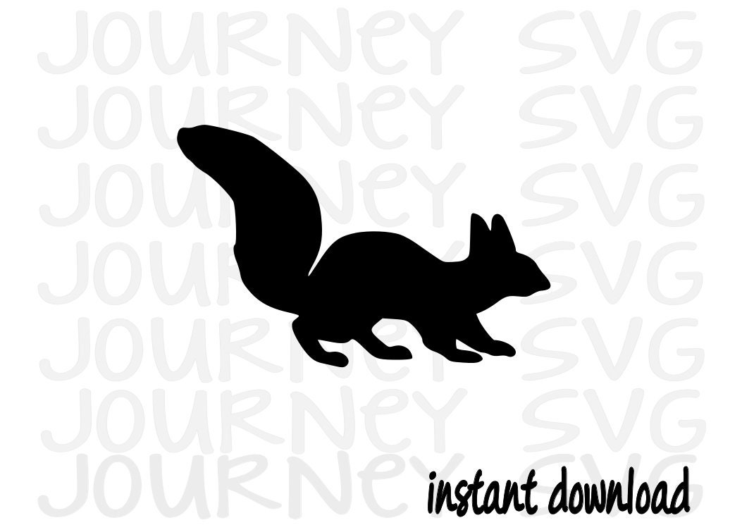 Squirrel SVG Animal Svg | Etsy