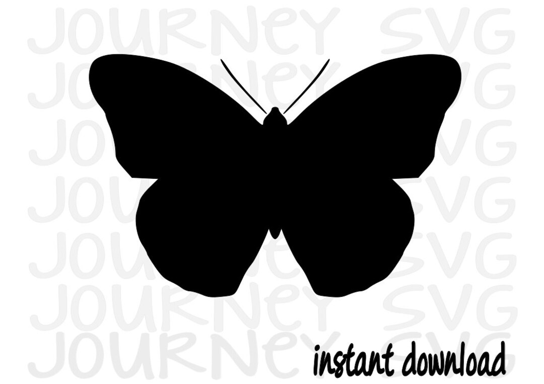 Butterfly SVG File, Spring SVG - Etsy