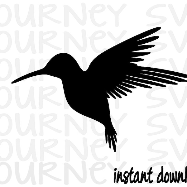 Humming Bird Svg - Etsy