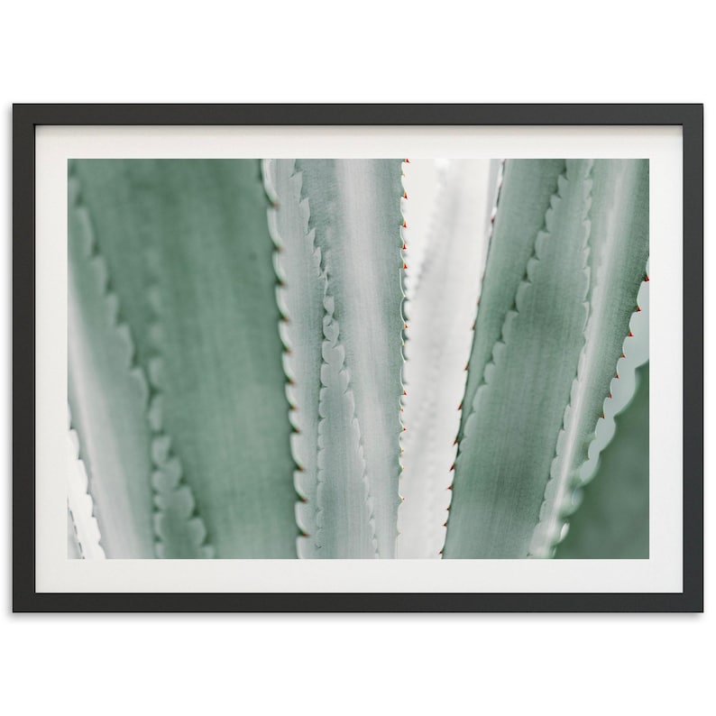 Framed Agave Fine Art Photography Print | Desert Botanical, Western ...