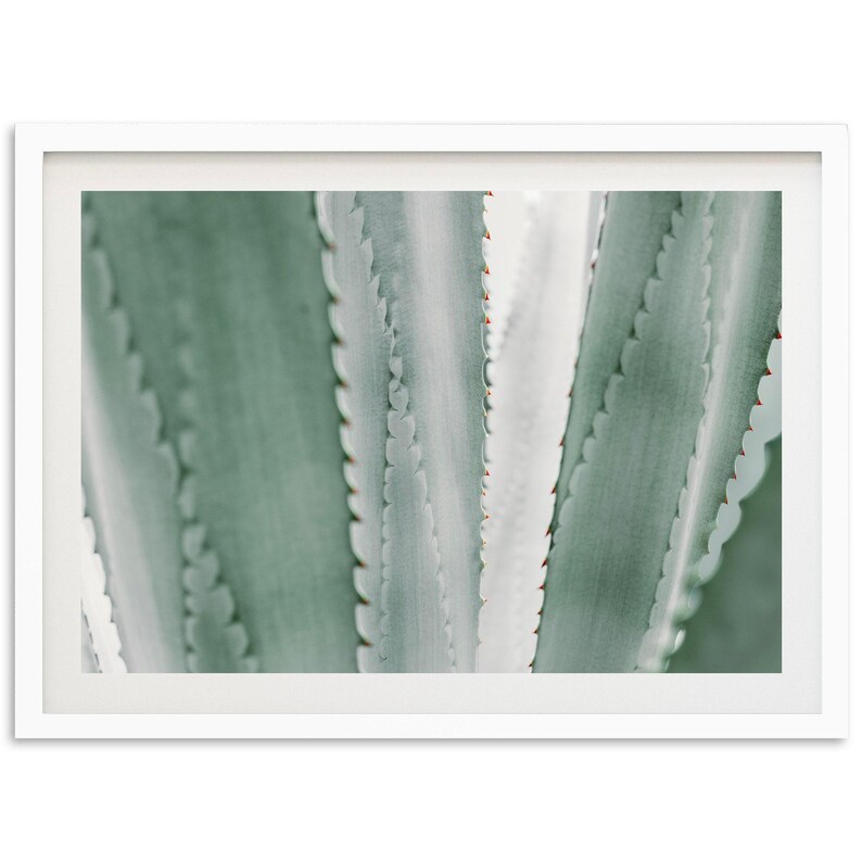 Framed Agave Fine Art Photography Print | Desert Botanical, Western ...