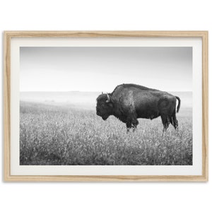 Buffalo Print - Etsy