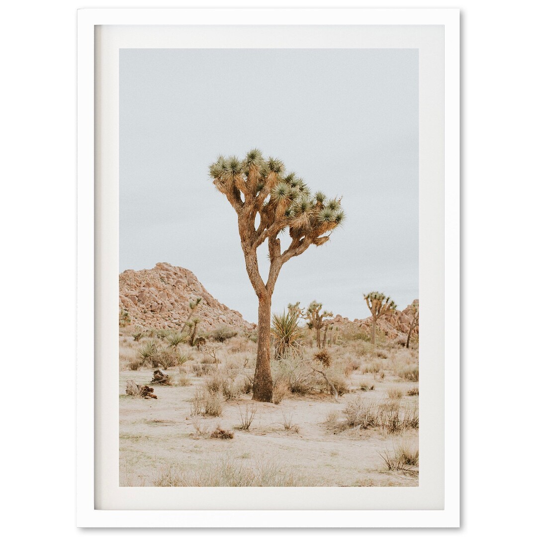 Fine Art Joshua Tree California Print National Park Desert Landscape ...