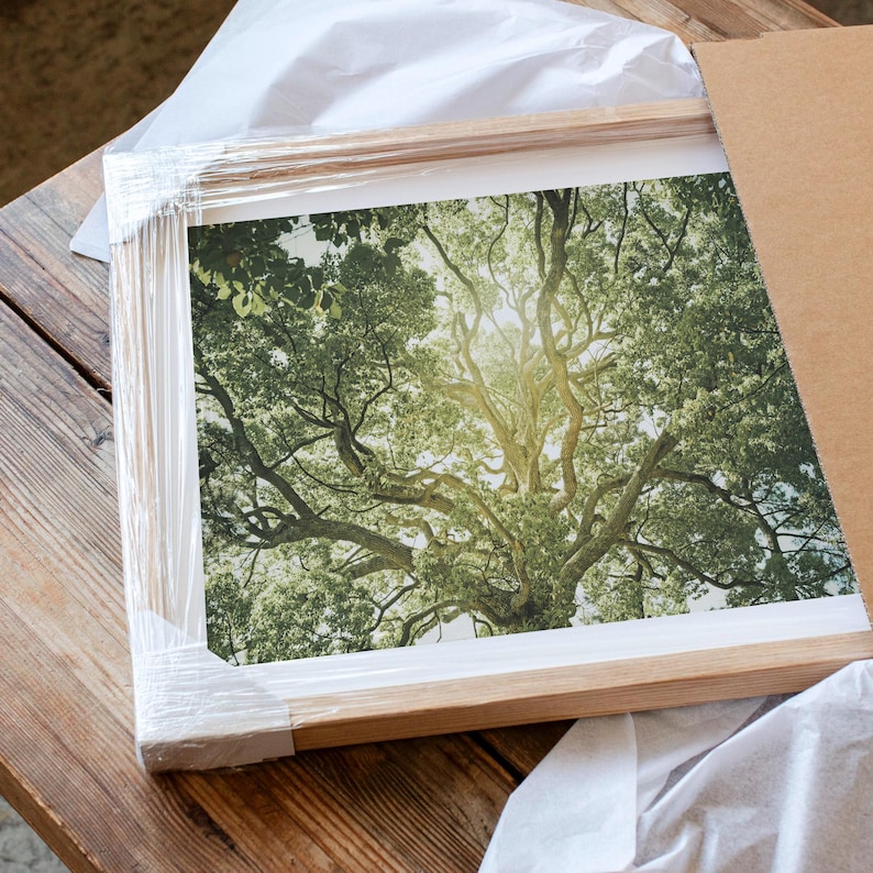 Framed Tree of Life Wall Art | Nature Photography Print, Botanical ...