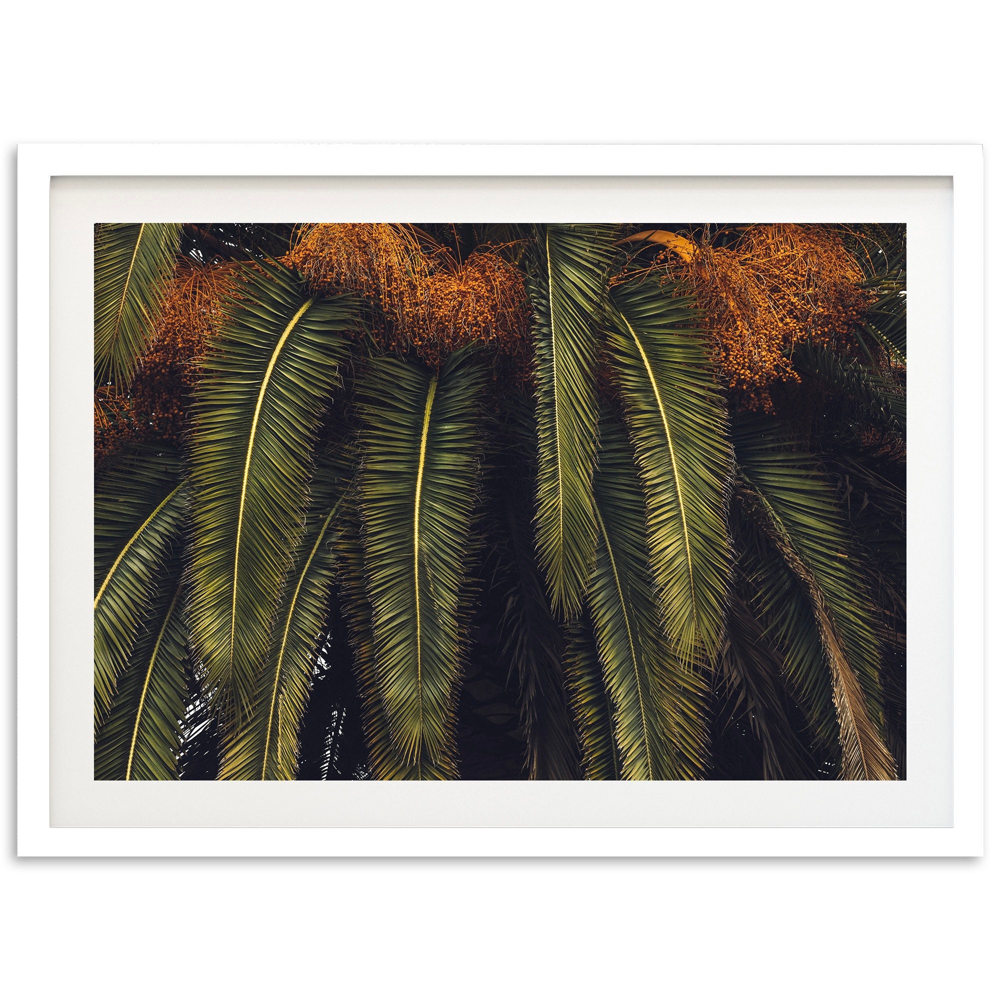 Fine Art California Palm Tree Print Ocean Lifestyle Beach - Etsy