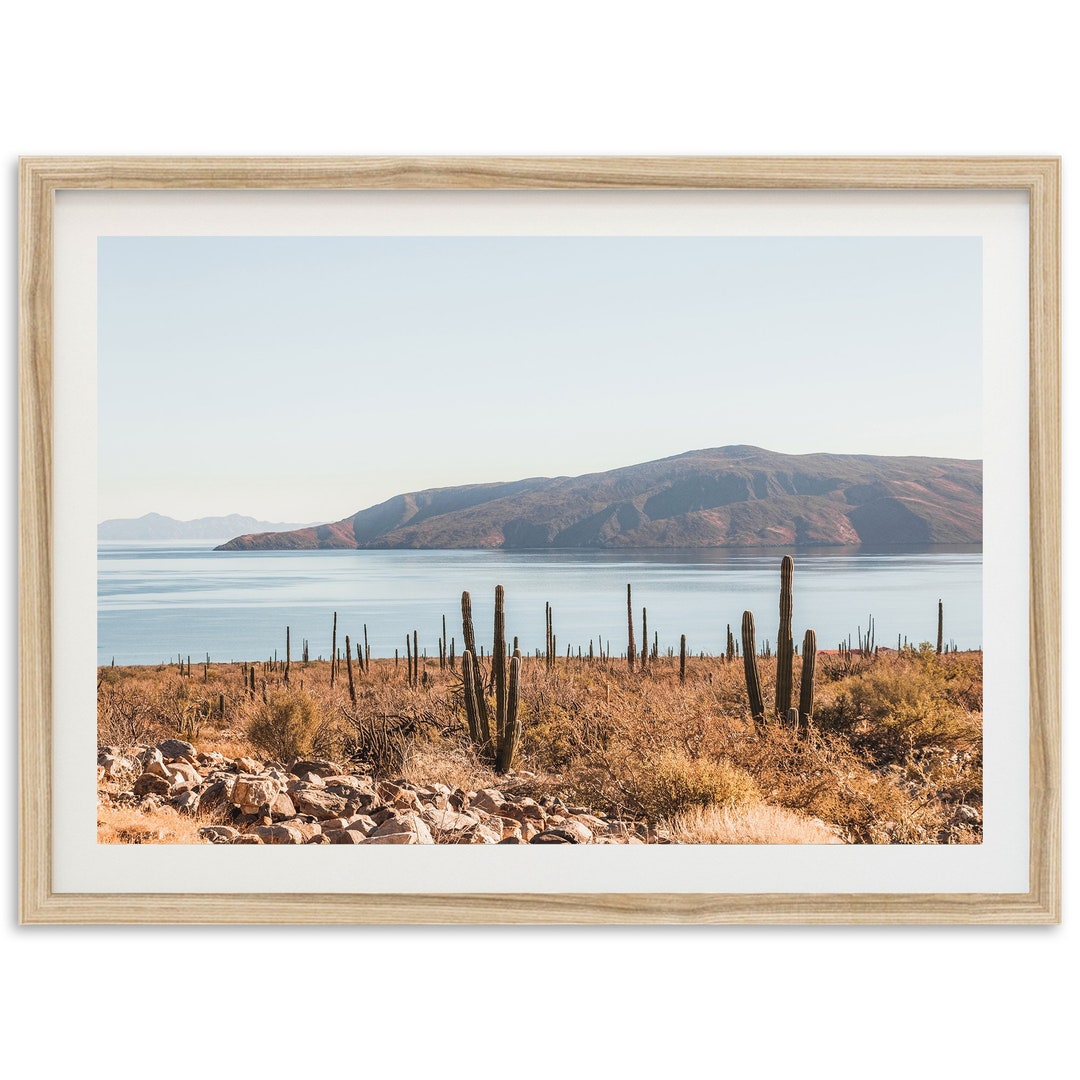 Fine Art Baja Print La Paz Mexico Desert Ocean Cactus Framed Fine Art ...