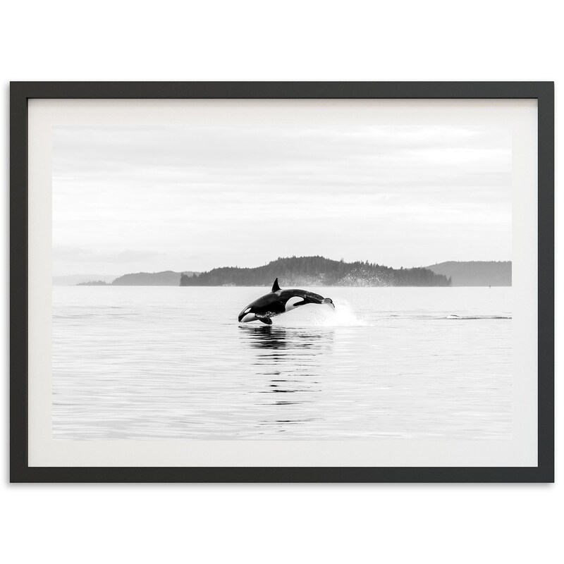 Orca Decor - Etsy