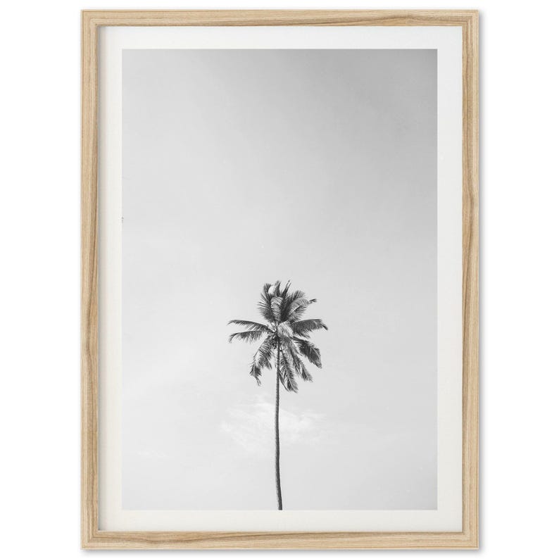 Framed Palm Tree Fine Art Print | Black and White Coastal Photography ...