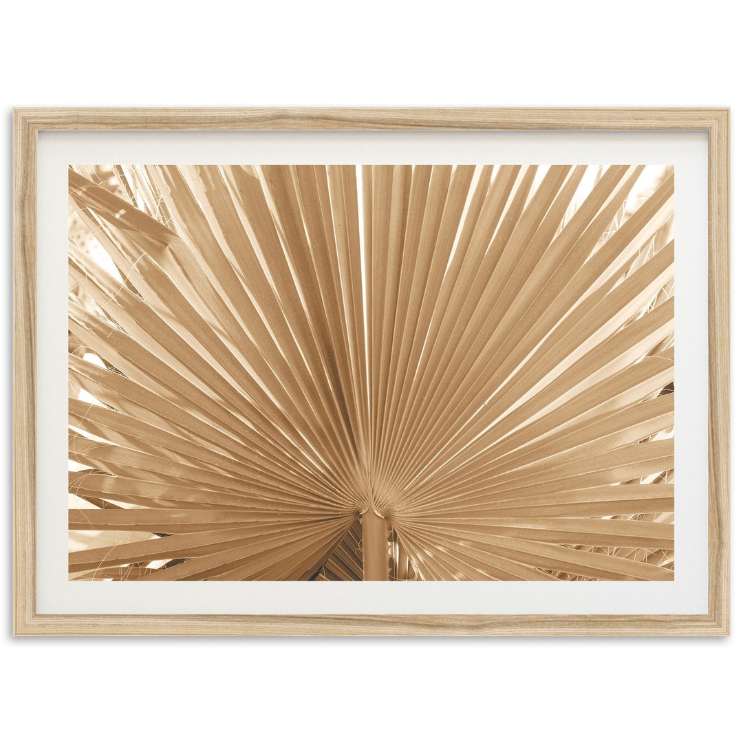 Fine Art Boho Palm Print Relaxing Pampas Beach Style Natural Foliage ...