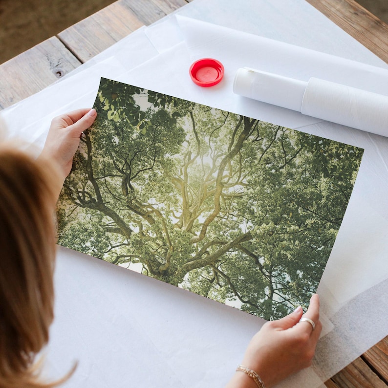 Framed Tree of Life Wall Art | Nature Photography Print, Botanical ...