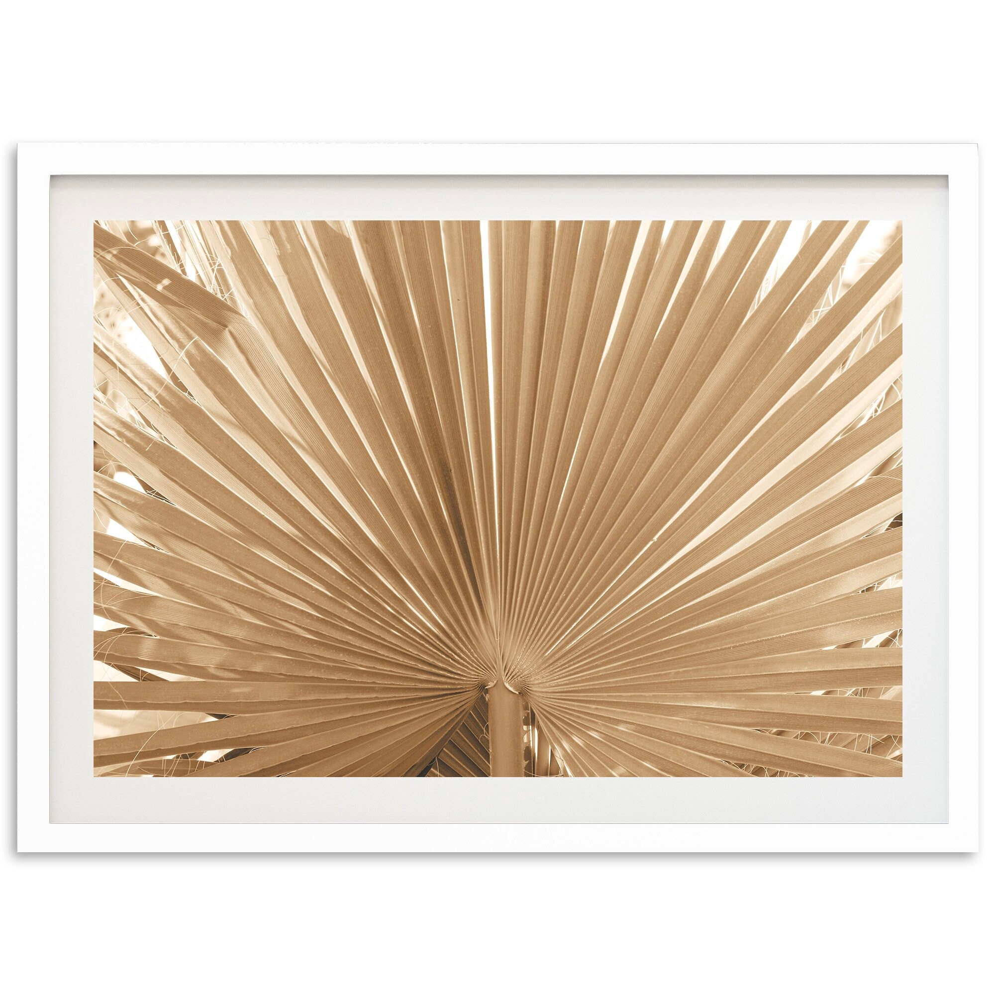 Fine Art Boho Palm Print Relaxing Pampas Beach Style Natural - Etsy