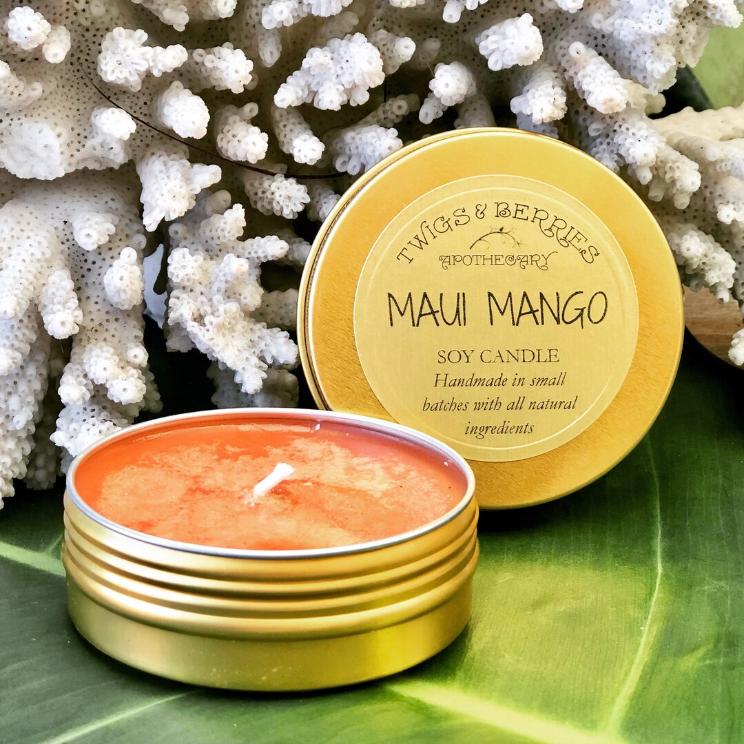 Maui Mango Soy Candle, Hawaii, Tropical Decor, Hawaiian Scents - Etsy
