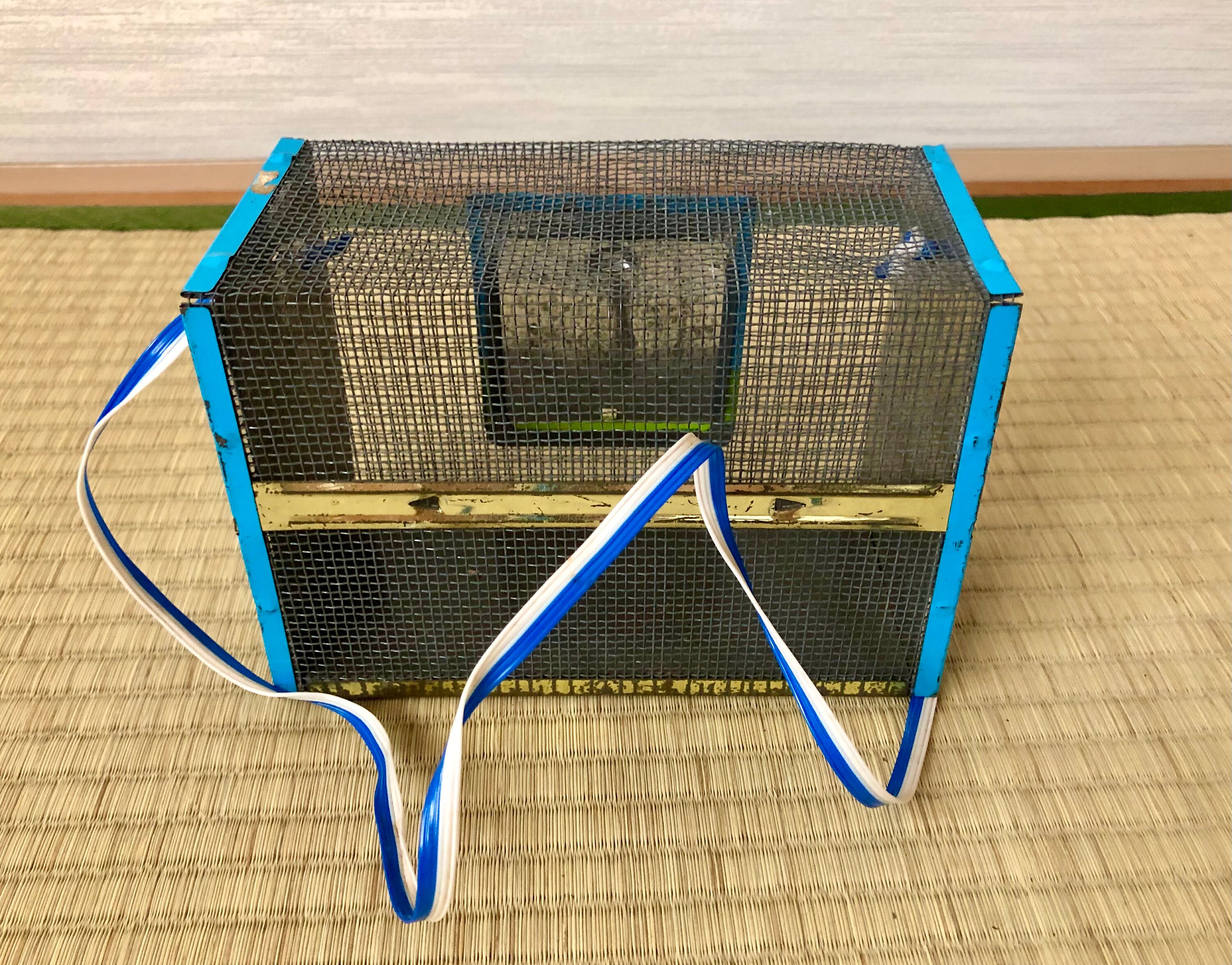 Kitsch Retro Japanese Insect Bug Cage Bug Catching Cage | Etsy