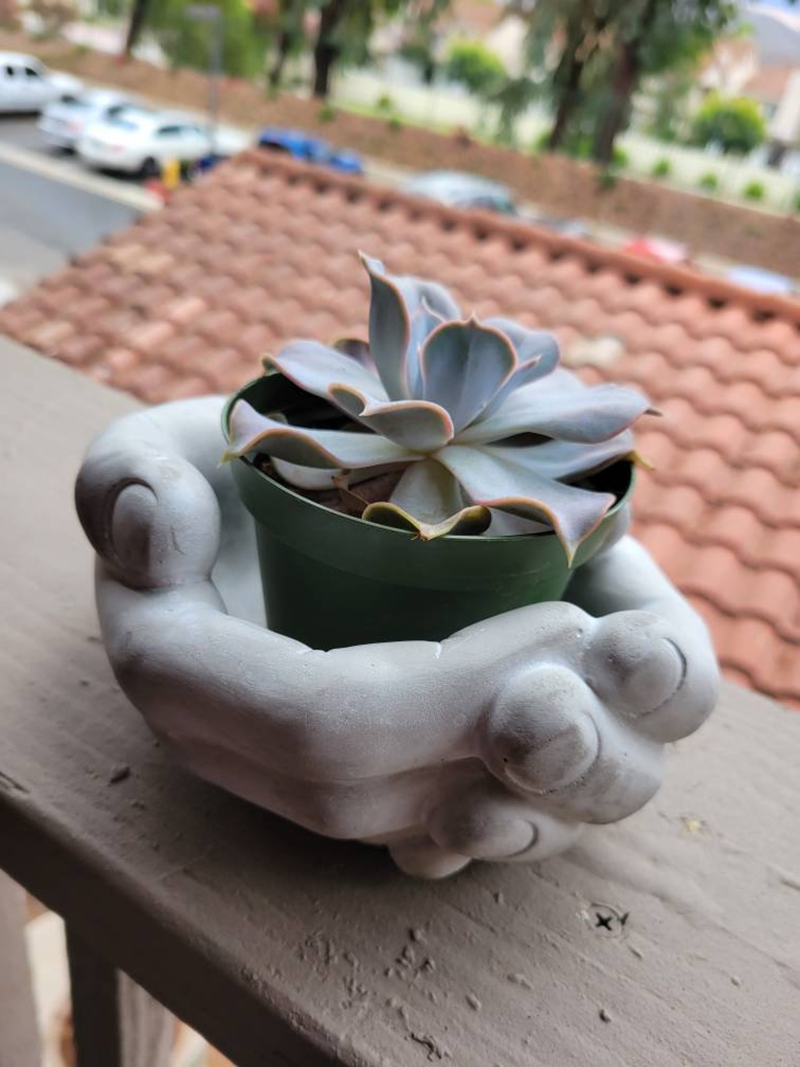 Hands Planter small Size - Etsy