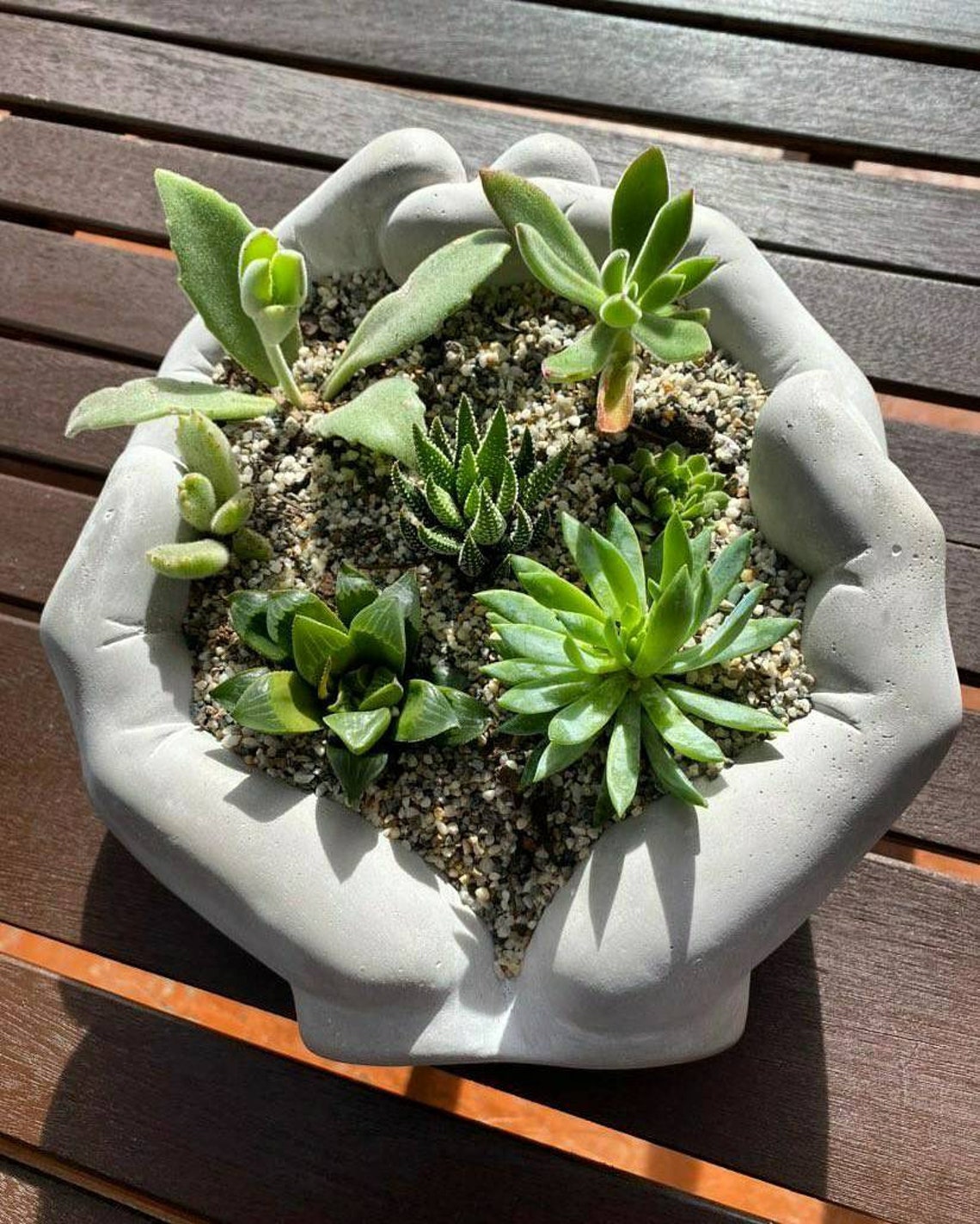 Large Hands Planter for Plants or Item Holder - Etsy
