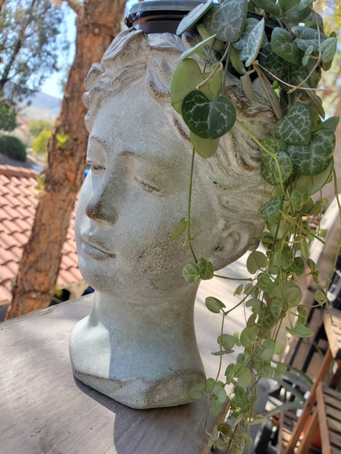 Medium Size Goddess Woman Head Planter Face Planter Etsy