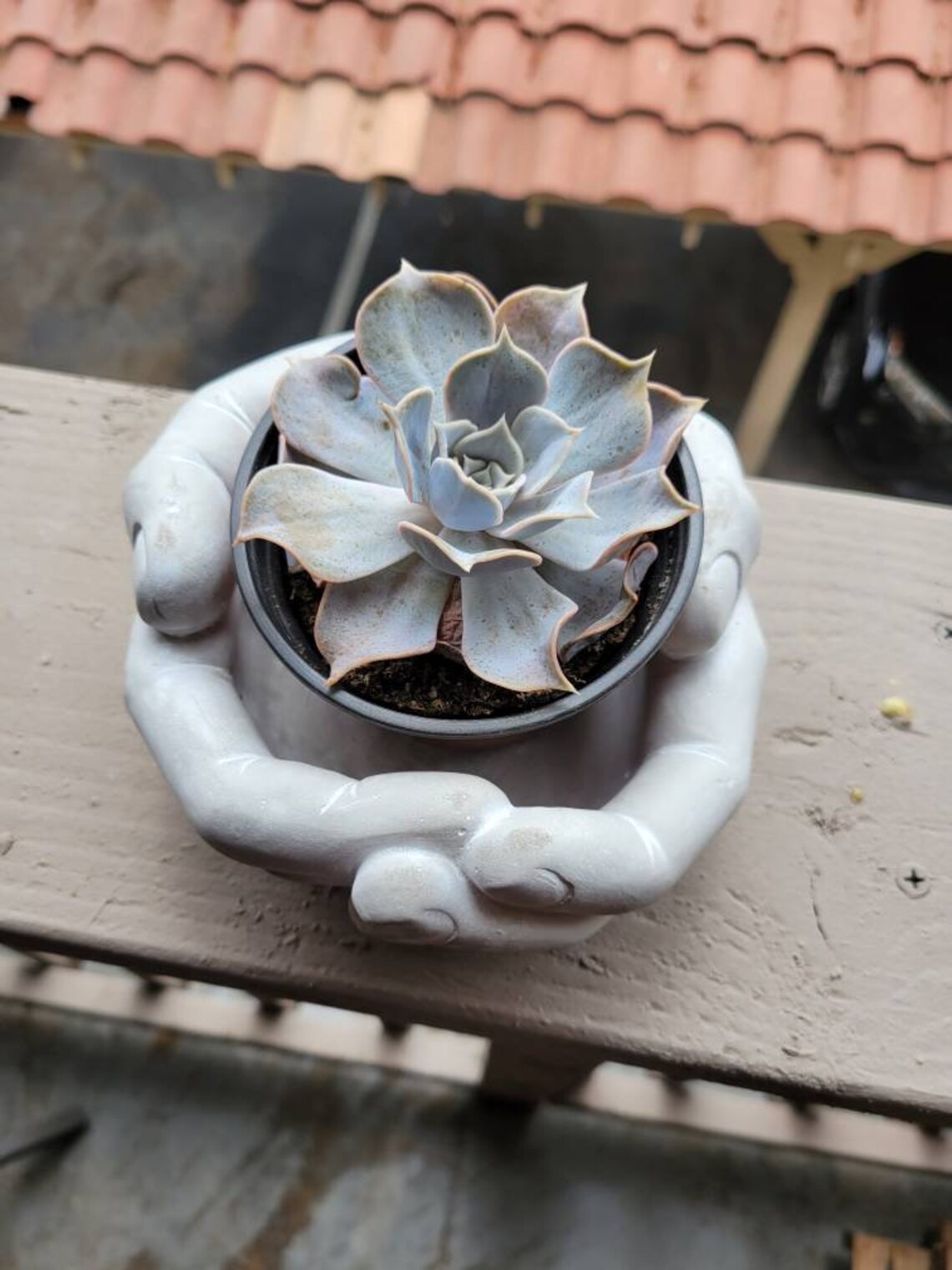 Hands Planter small Size - Etsy