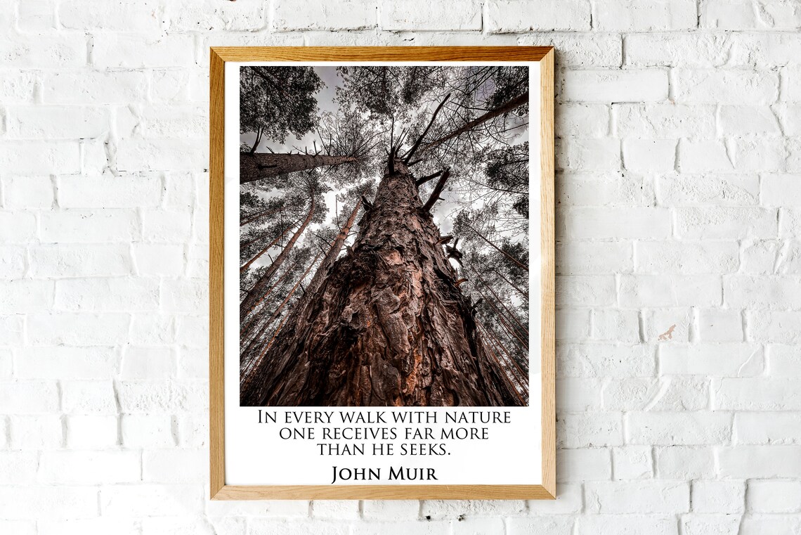 John Muir Quote Forest Print Nature Wall Art Tall Trees | Etsy