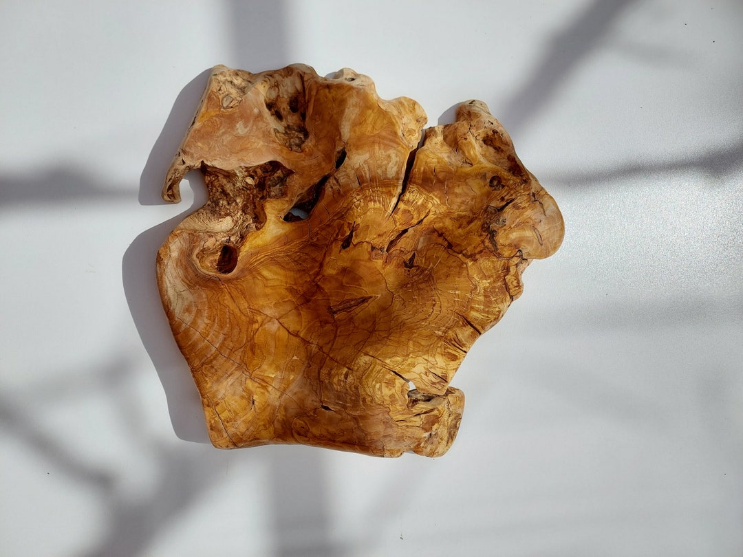 Olive Wood Slab, Raw 16 Olive Wood Slab, Live Edge Olive Wood ...