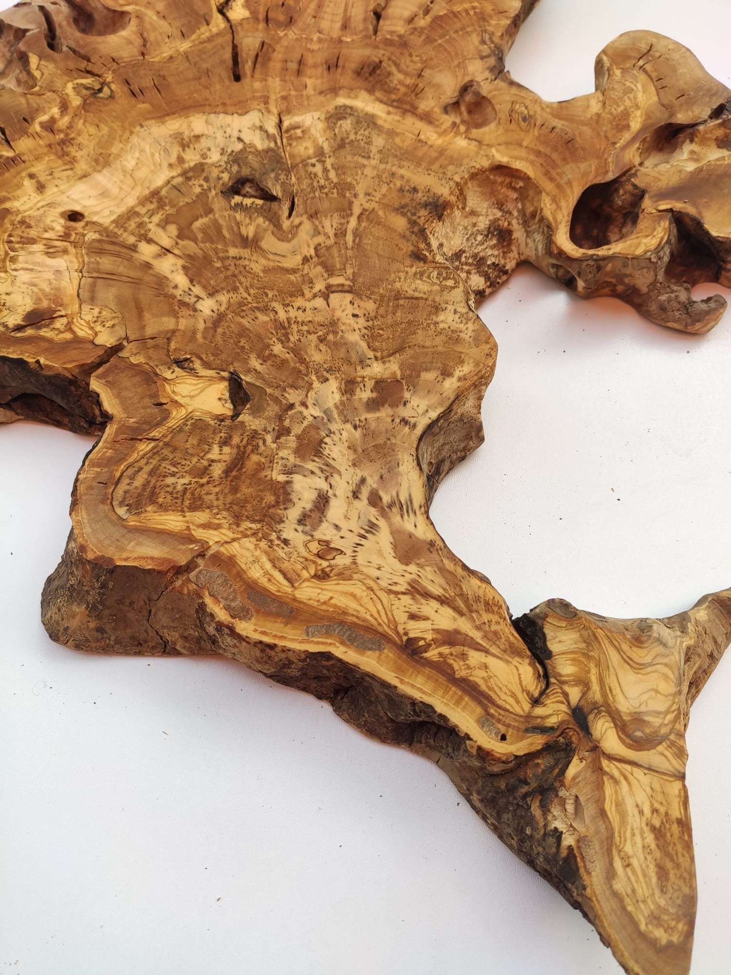 Raw Olive Wood Slice Live Edge, Ideal for DIY and Epoxy Projects - Etsy