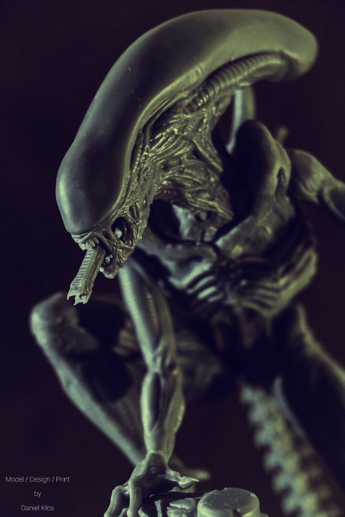 Alien Xenomorph Resin 3d Printed DIY Model Kit Figure 20cm Tall - Etsy UK