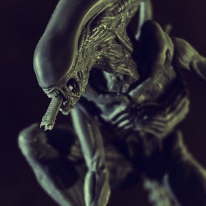 Alien Xenomorph Resin 3d Printed DIY Model Kit Figure 20cm Tall - Etsy UK