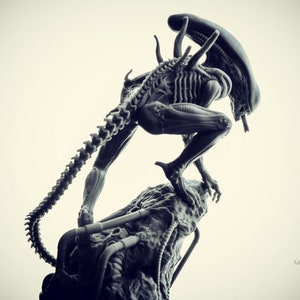 Alien Xenomorph Resin 3d Printed DIY Model Kit Figure 20cm Tall - Etsy UK