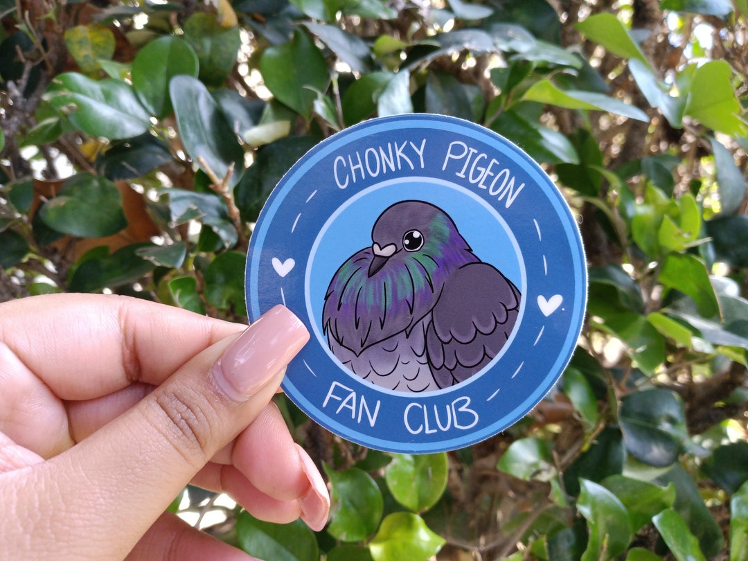 Chonky Pigeon Fan Club Weatherproof Vinyl Sticker| Bird Borb Birb ...