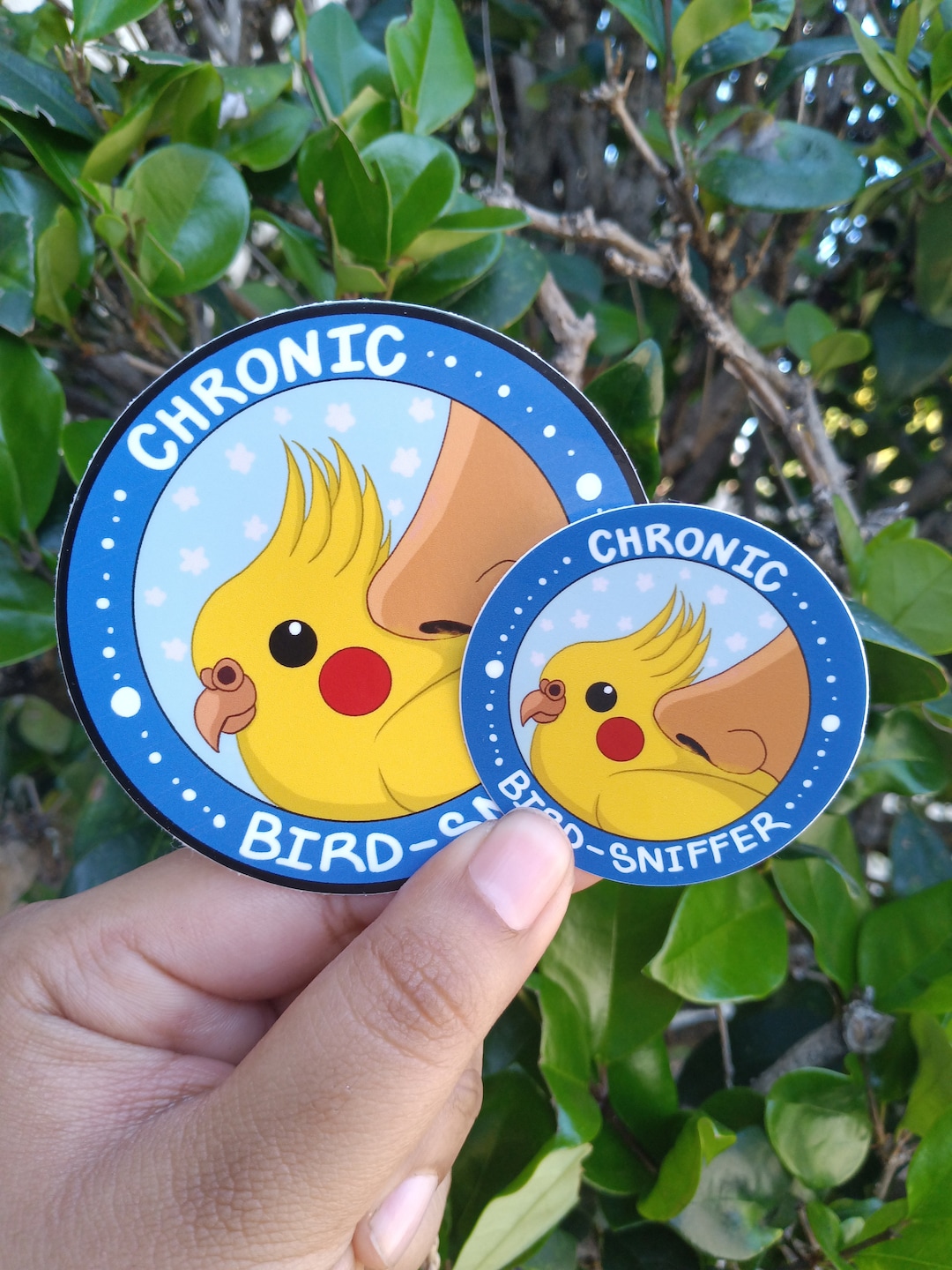 Chronic Bird-sniffer Vinyl Sticker| Funny Birb Borb Badge Decal ...