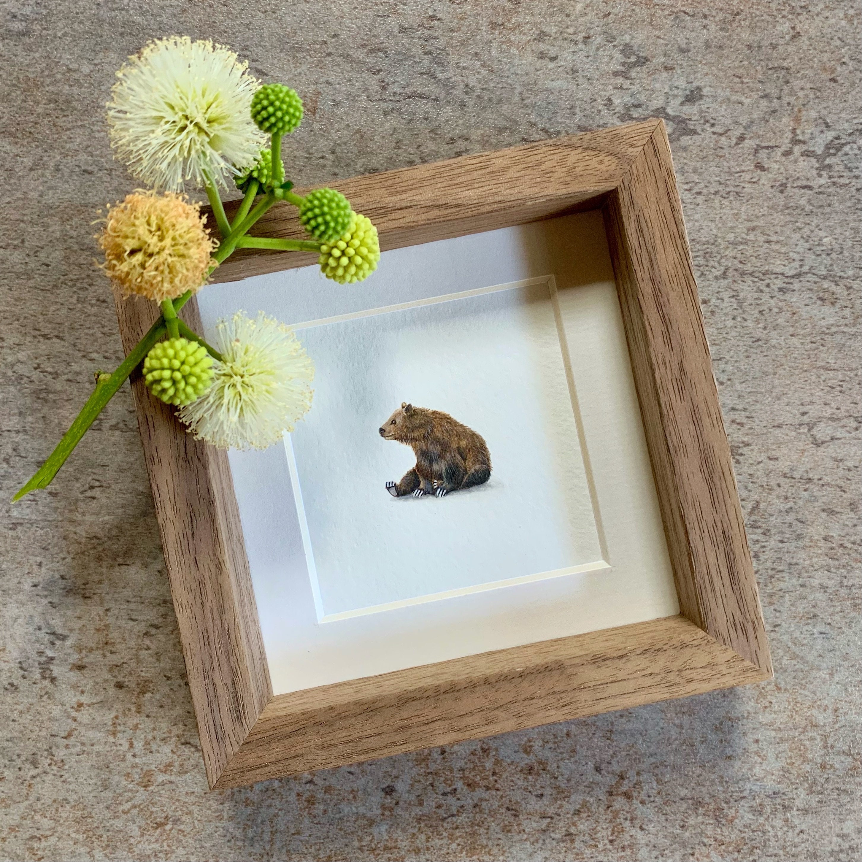 Brown Bear, Original Watercolor Miniature Painting, Tiny Art, Grizzly ...