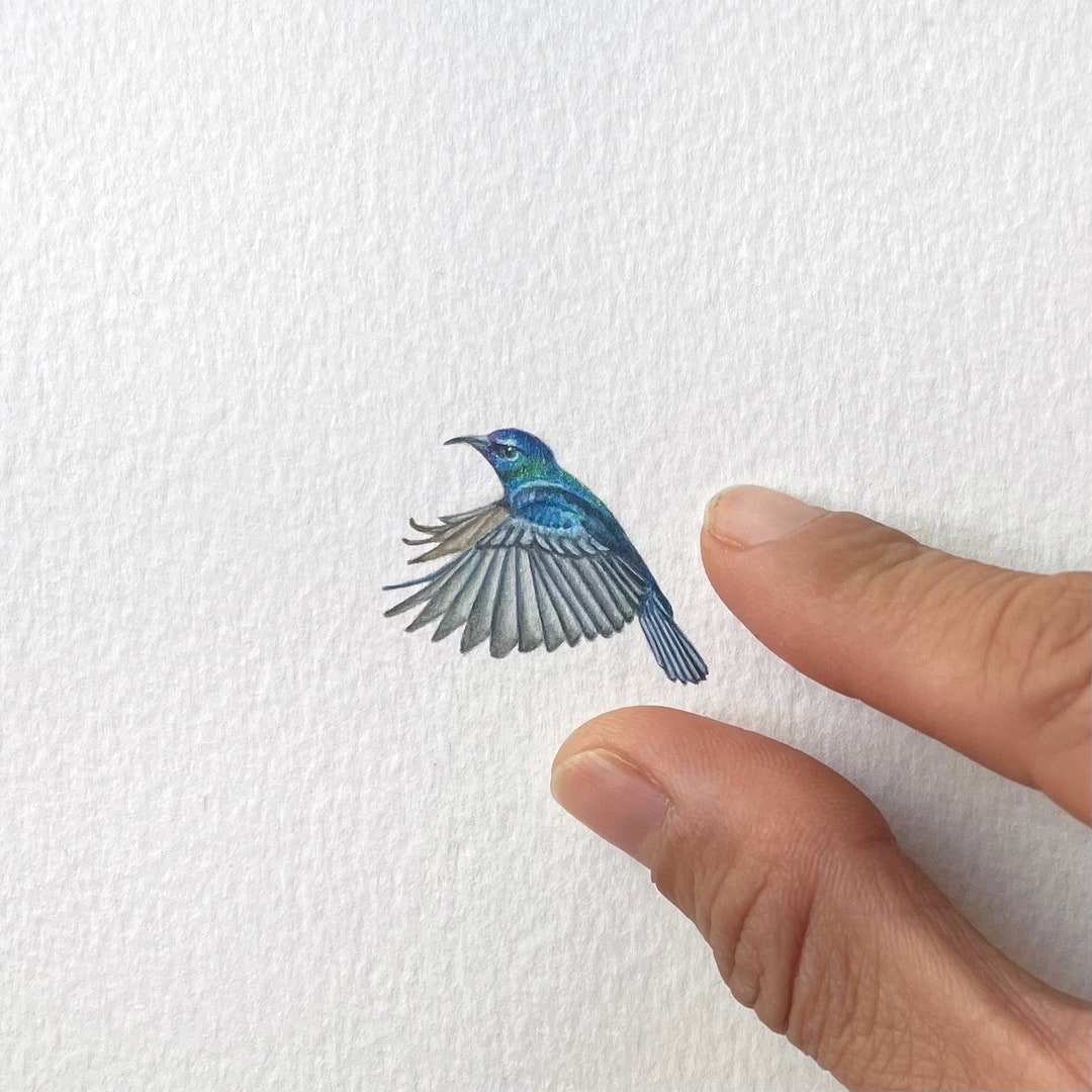Palestine Sunbird, National Bird of Palestine, Original Painting, Tiny ...