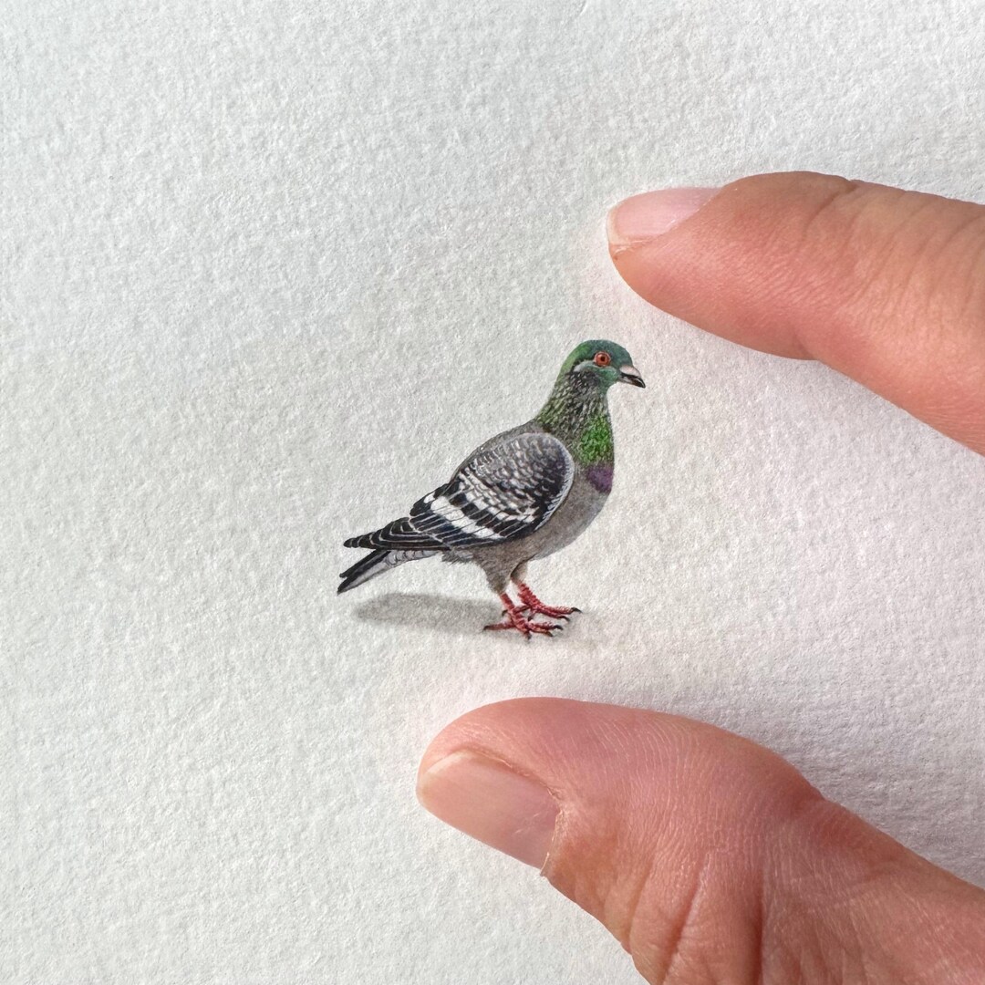 Pigeon, Original Watercolor, Tiny Art - Etsy