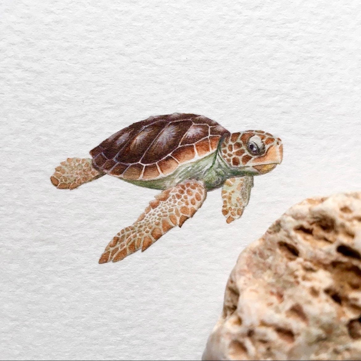 Green Turtle, Original Painting, Tiny Art - Etsy