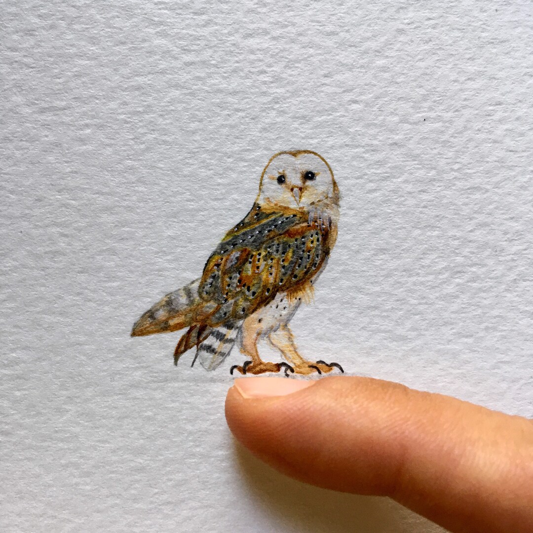 Barn Owl, Original Miniature Painting, Watercolour, Owl Artwork - Etsy