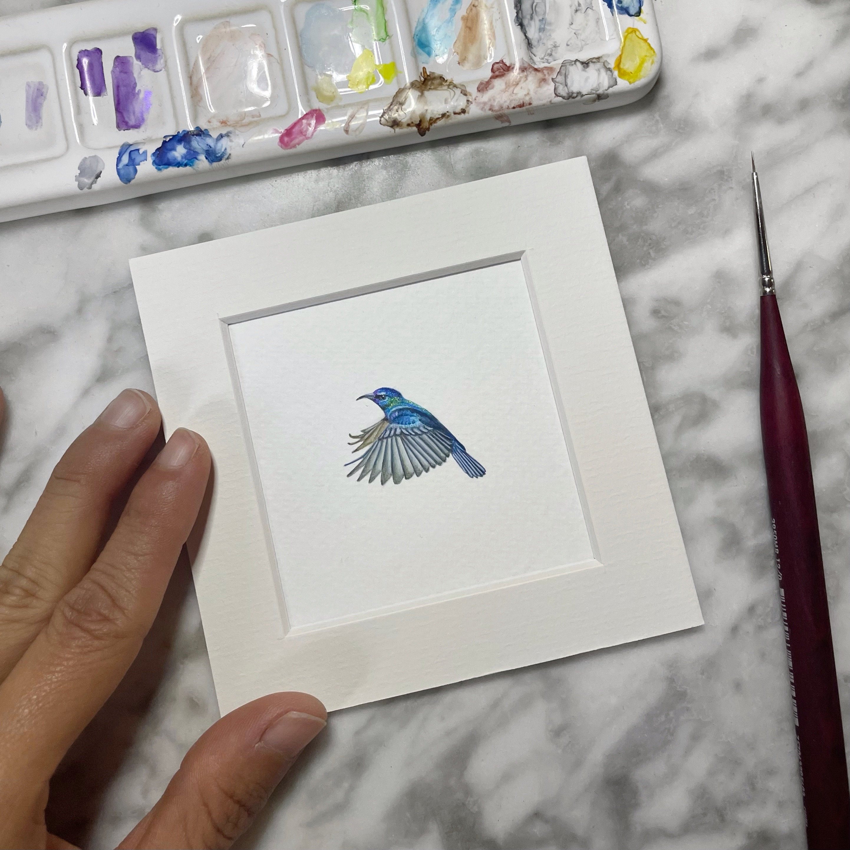 Palestine Sunbird, National Bird of Palestine, Original Painting, Tiny ...