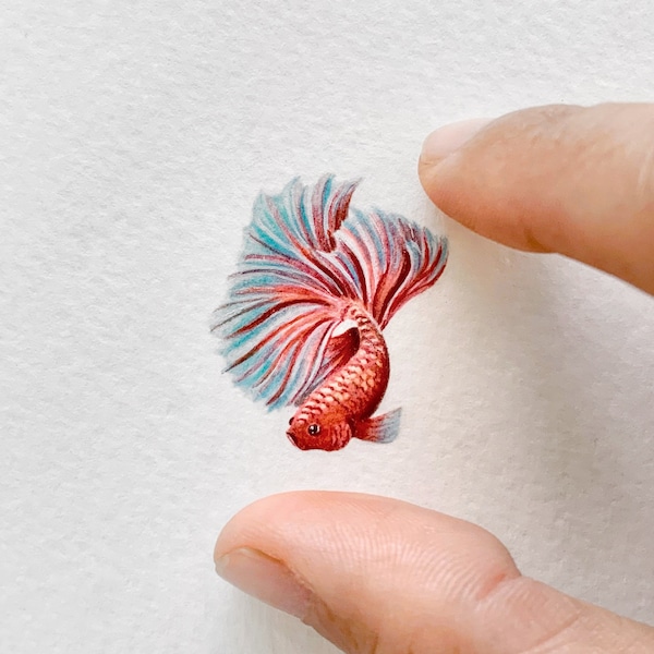 Fighting Fish - Etsy