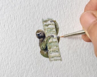 Three Toed Sloth | Etsy