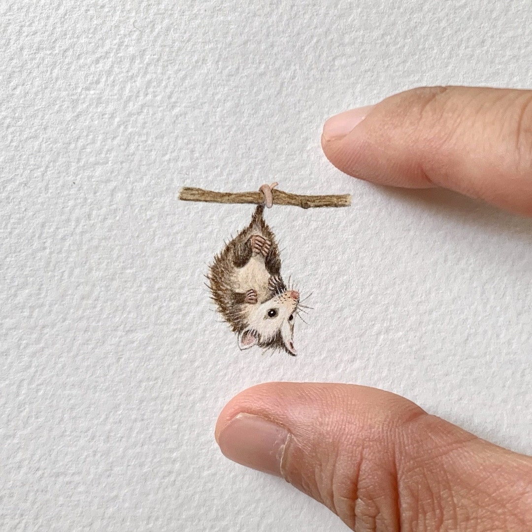 Opossum: Hand-painted Watercolor Art, Original Miniature Painting - Etsy