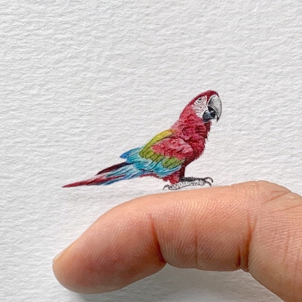 Macaw Painting Original - Etsy
