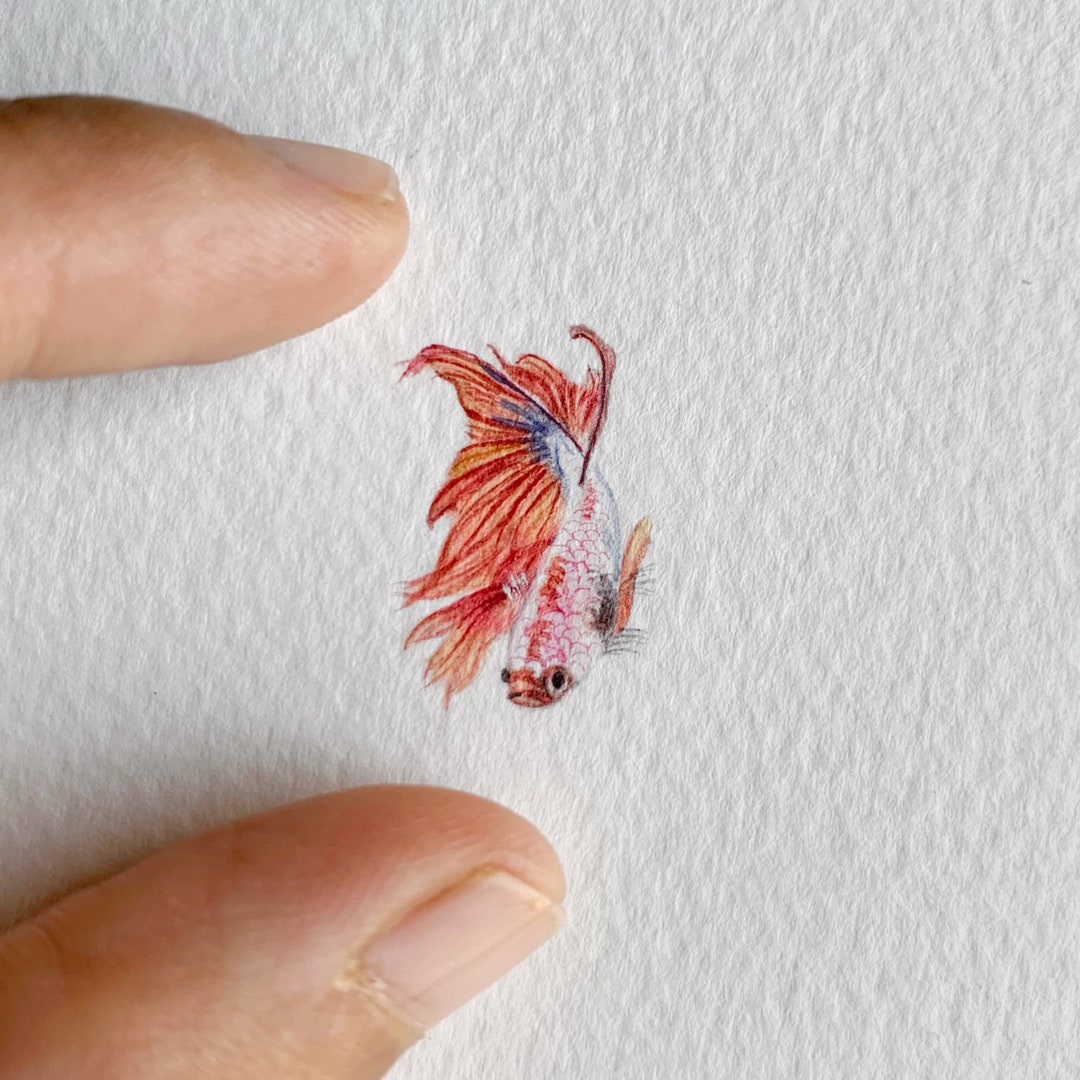 Betta Fish, Original Painting, Tiny Art - Etsy