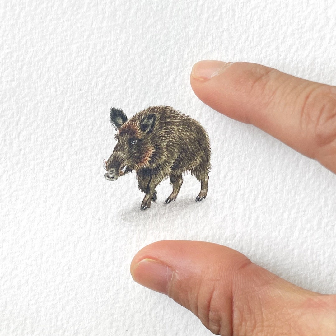 Wild Boar, Miniature Painting, Tiny Art - Etsy