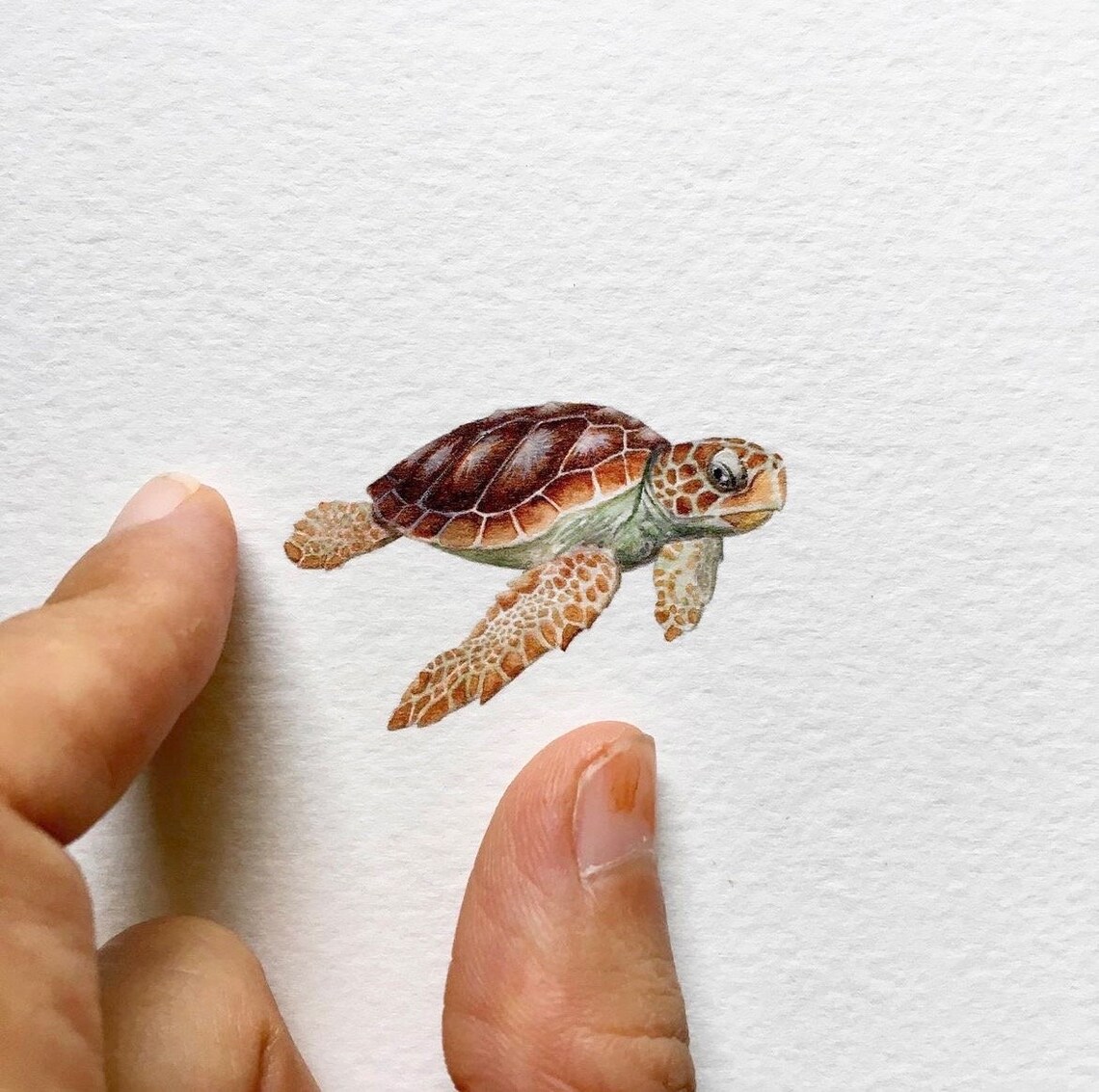 Green Turtle, Original Painting, Tiny Art - Etsy