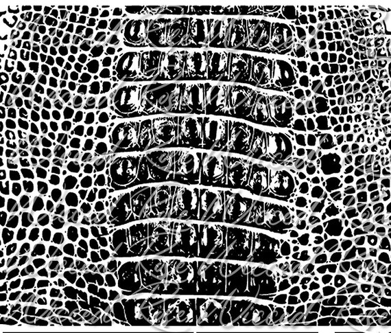 Alligator Skin SVG | Etsy