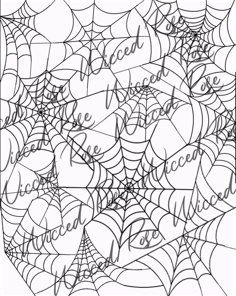 Spider Web SVG - Etsy